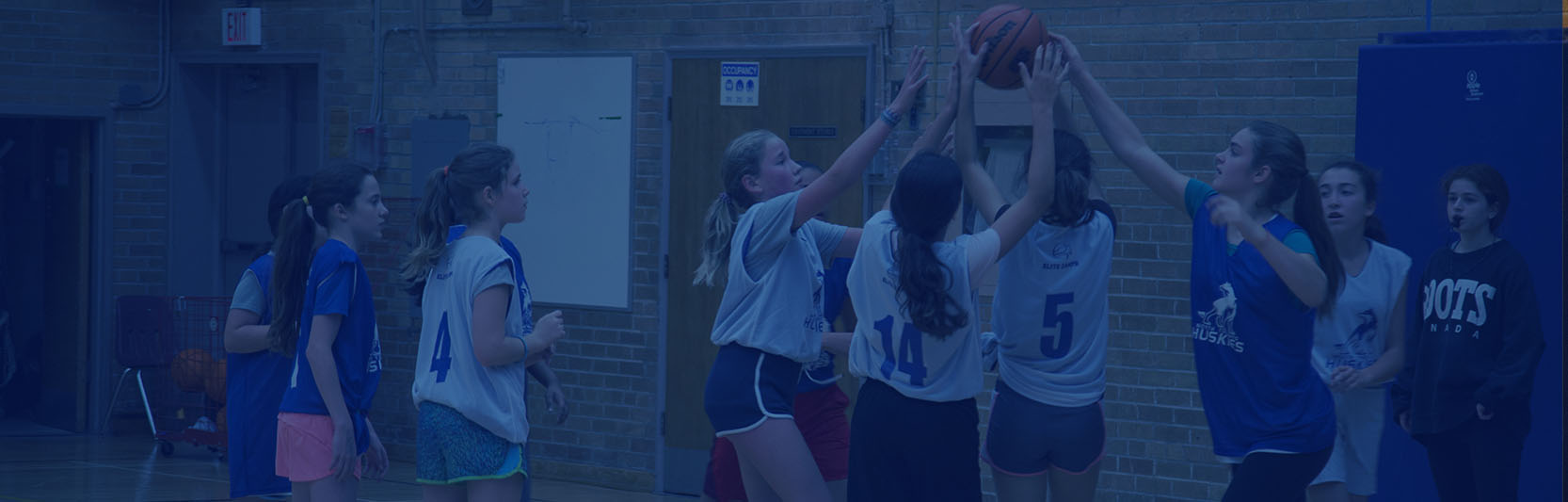 Schedule Banner - North Toronto Basketball